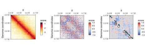 5 Matrix Centric Analysis Orchestrating Hi C Analysis With Bioconductor