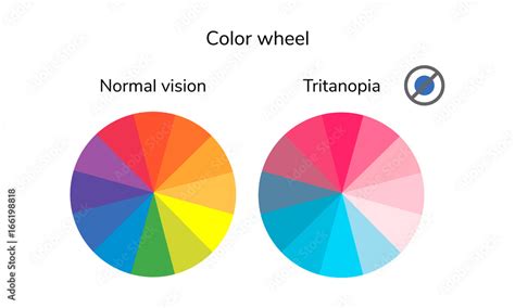 Vector Illustration Infographics Color Wheel Palette Normal Vision Tritanopia Daltonism