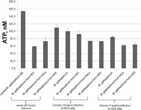 Measurement Of The Atp Concentration Detection Of Atp Production In