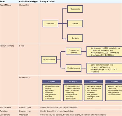 Further Classification Of Actors Download Scientific Diagram