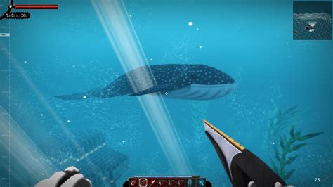 Underwater Effect Questions And Answers Unity Discussions