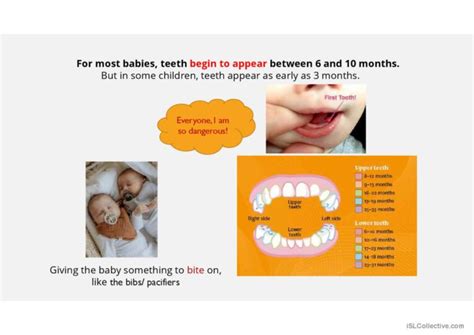 Our Teeth And How To Protect Our Tee… English Esl Powerpoints