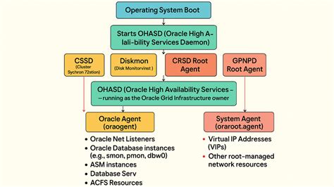 Oracle Clusterware And Rac Startup Sequence