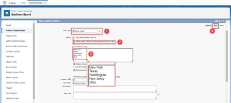 Custom Picklist And Multi Select Picklist In Salesforce