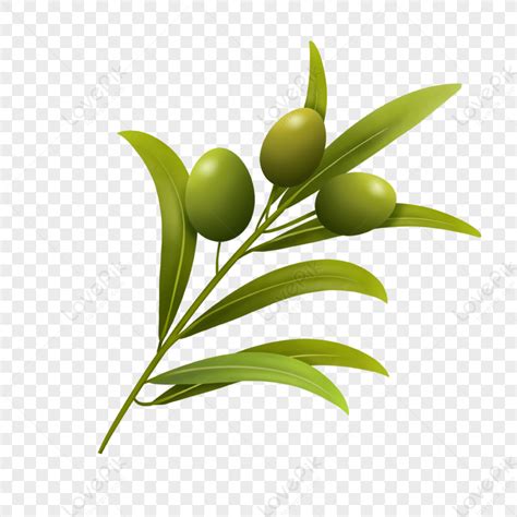 Realistic Style Green Olives Olive Leaf Olive Branch Fruit Green Leaf Fruit Fruit Clipart Png
