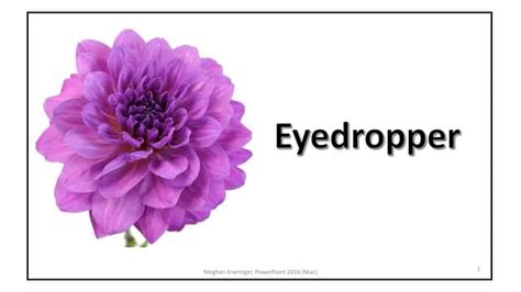 Eyedropper Powerpoint Tool Pptx Operating Systems Computer Software And Applications