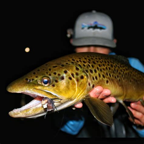 Mini Mouse Fly Pattern 3 Pack Trout Trap Flies