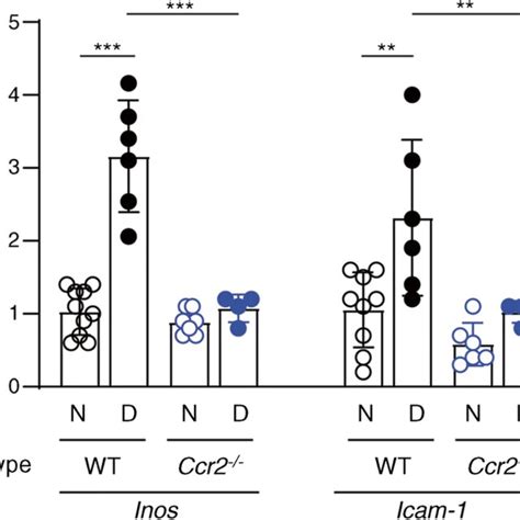 Effect Of Ccr2 Deficiency And Diabetes On Monocytes Representative