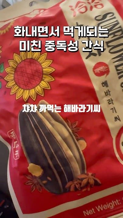 먹는 순간 인간 다람쥐가 되는 중독성 쩌는 간식 챠챠 까먹는 해바라기씨 맛 추천 Youtube