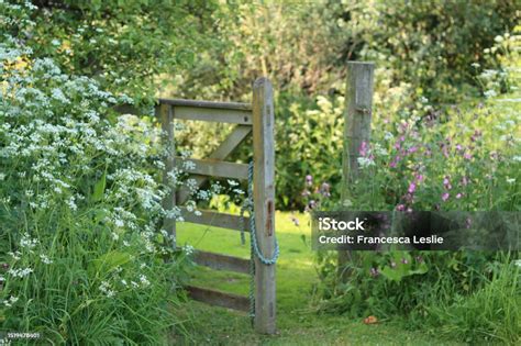 Open Wooden Gate In A Garden Leading Through To A Wildflower Meadow