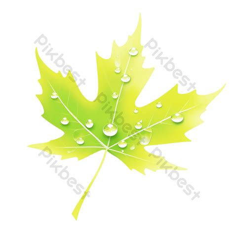 Floating Maple Leaf