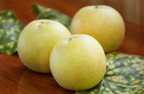 二十世紀梨 梨の通販 百華園 梨販売 奈良吉野大阿太高原から産地直送。甘くて美味しい廿世紀梨・豊水梨・幸水梨・清澄梨・秋月梨・新高梨