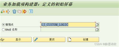 sap bpc ujkt使用详解 csdn博客