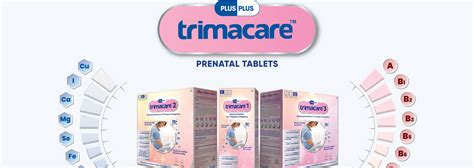 The Power Of Multiple Micronutrient Supplementation Optimizing Pregnancy Nutrition Plusplus