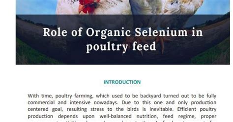 Role Of Organic Selenium In Poultry Feed Orffa