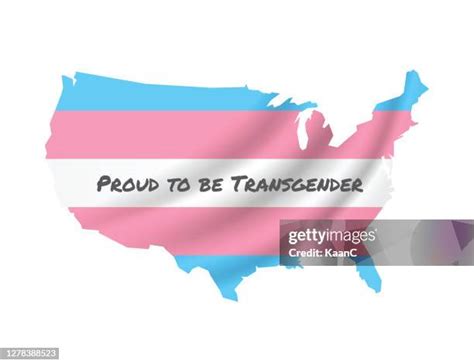 Pride And Transgender Flag High Res Illustrations Getty Images