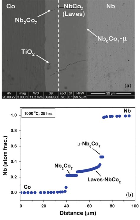 A Interdiffusion Zone Of The Co Nb Diffusion Couple Annealed At 1000 °c
