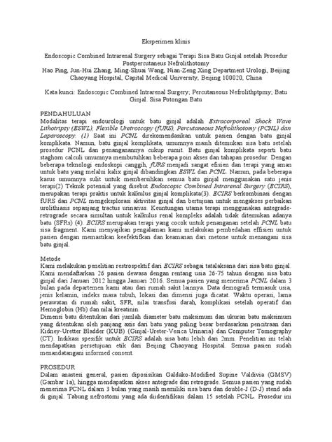 Ecirs For Treatment Pcnl Residual Stone Pdf