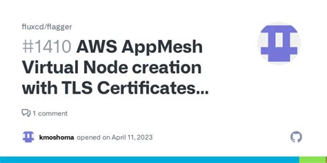 Kabelo Moshoma On Linkedin Aws Appmesh Virtual Node Creation With Tls