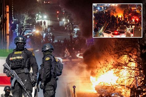 Inside The Dark World Of Randy Sex Pest Dolphins Who Terrorise Swimmers