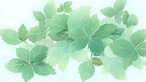 薄荷叶数字艺术 手绘卡通植物薄荷叶树叶元素插画 Ai平面元素免费下载png格式4368像素编号69413970 千图网