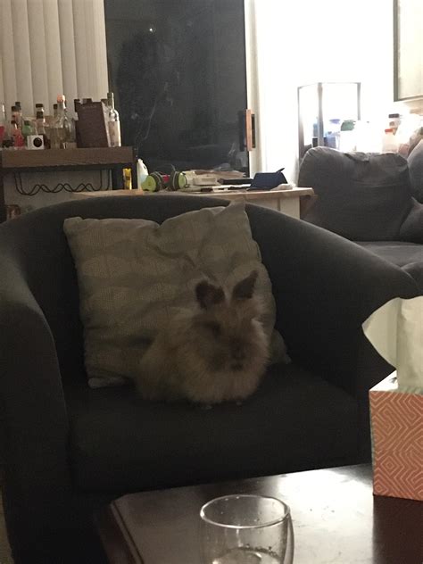 Smol Scrolller