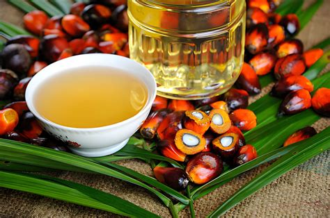 Is Palm Oil Good For Health Benefits Risks And More
