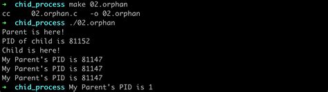 What Is The Difference Between An Orphan Process And A Zombie Process Learn Steps
