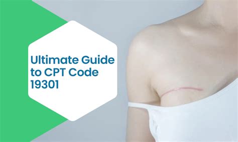 Cpt Code 19301 Description Examples Modifiers And Guidelines