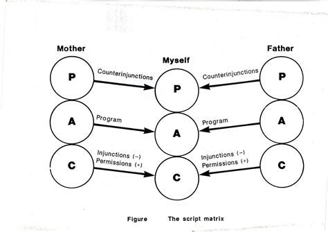 Transactional Analysis A Little Bit More On Drivers And Scripts Your