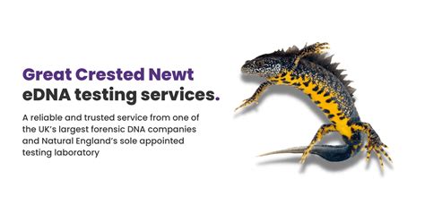 Great Crested Newt Edna Testing Cellmark