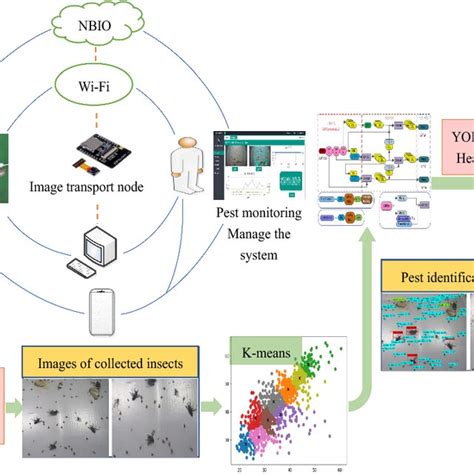 Schematic Diagram Of The Improved Yolov4 Network Structure Download
