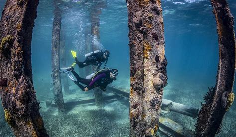 Decompression Illness Dan World