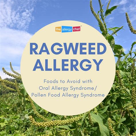 Stone Fruit Allergy Symptoms Foods To Avoid Oas And More The Allergy