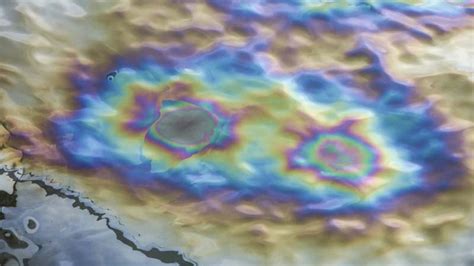Oil Spills Effects