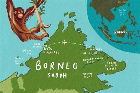 Where To Go In Borneo Natural World Safaris