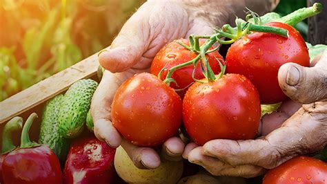 Upp Zip Code Campaign Donation Form A Critical Moment For Fresh Food Access In Kansas City