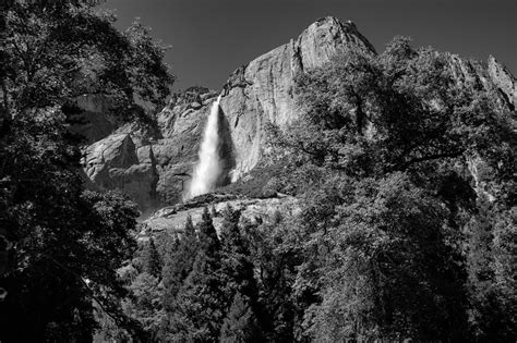 Nature And Wildlife — Corey Bourassa