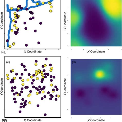 The Figure Shows The Spatial Distribution Of A And C Plasmodium