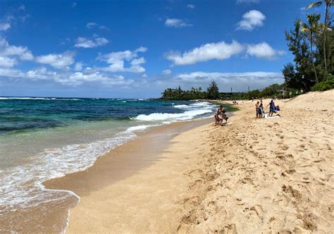 Laniakea Beach Popularly Known As Turtle Beach