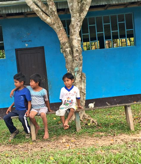 Day 3 Last Day In The Amazon Peruvian Adventure