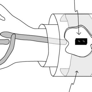Schematic Diagram Of Glove Design Download Scientific Diagram