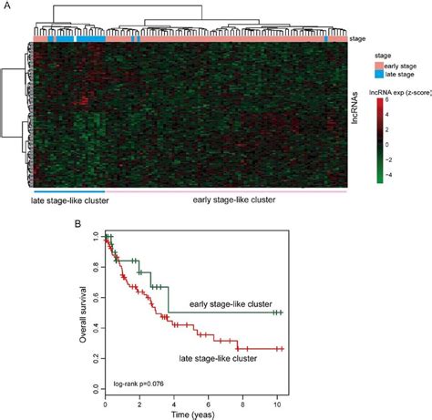 Association Between Lncrnas And Progression And Prognosis Of Lscc A