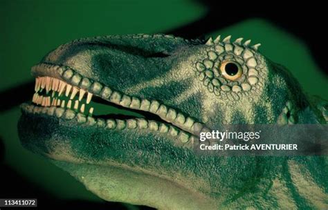 Eric Eric Buffetaut Photos And Premium High Res Pictures Getty Images