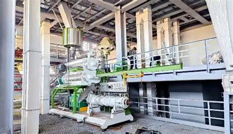 Affordable Pelletizing Machine Price Philippines Richi Pelletizer