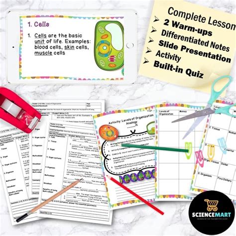 Cell Organelles Structure And Function Notes Slides Activity Cells