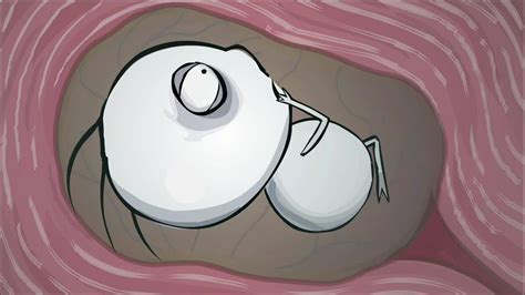 Tim Burtons Stainboy In Hd Episode 6 The Origin Of Stainboy Youtube