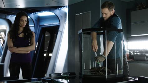 I Love Lucy Season 2 Episode 6 Killjoys Photos