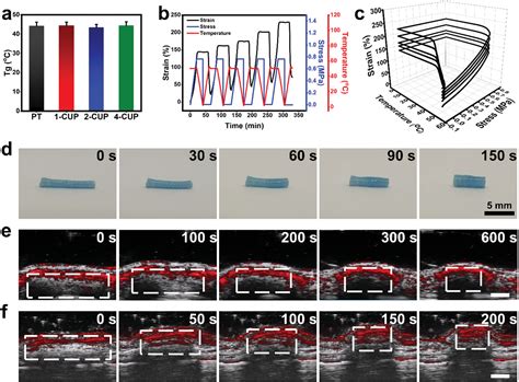 Bioactive Nir‐ii Light‐responsive Shape Memory Composite Based On