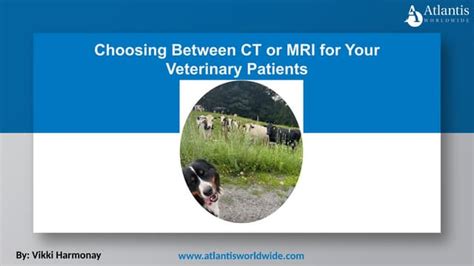 Cath Lab Vs Ep Lab Whats The Difference Pptx